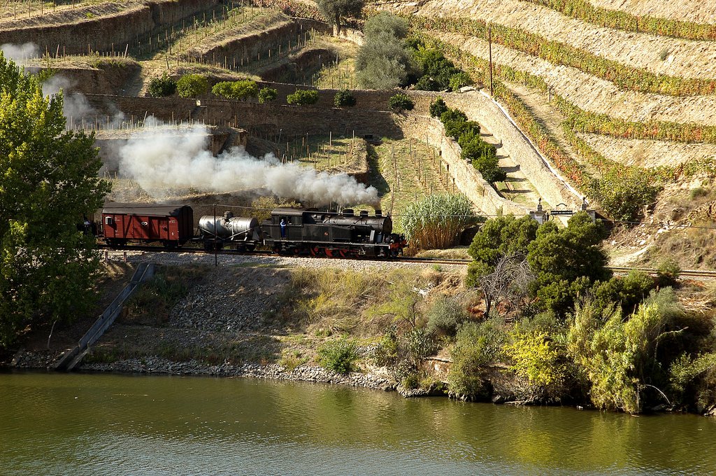 Porto and Douro - winesofportugal.com
