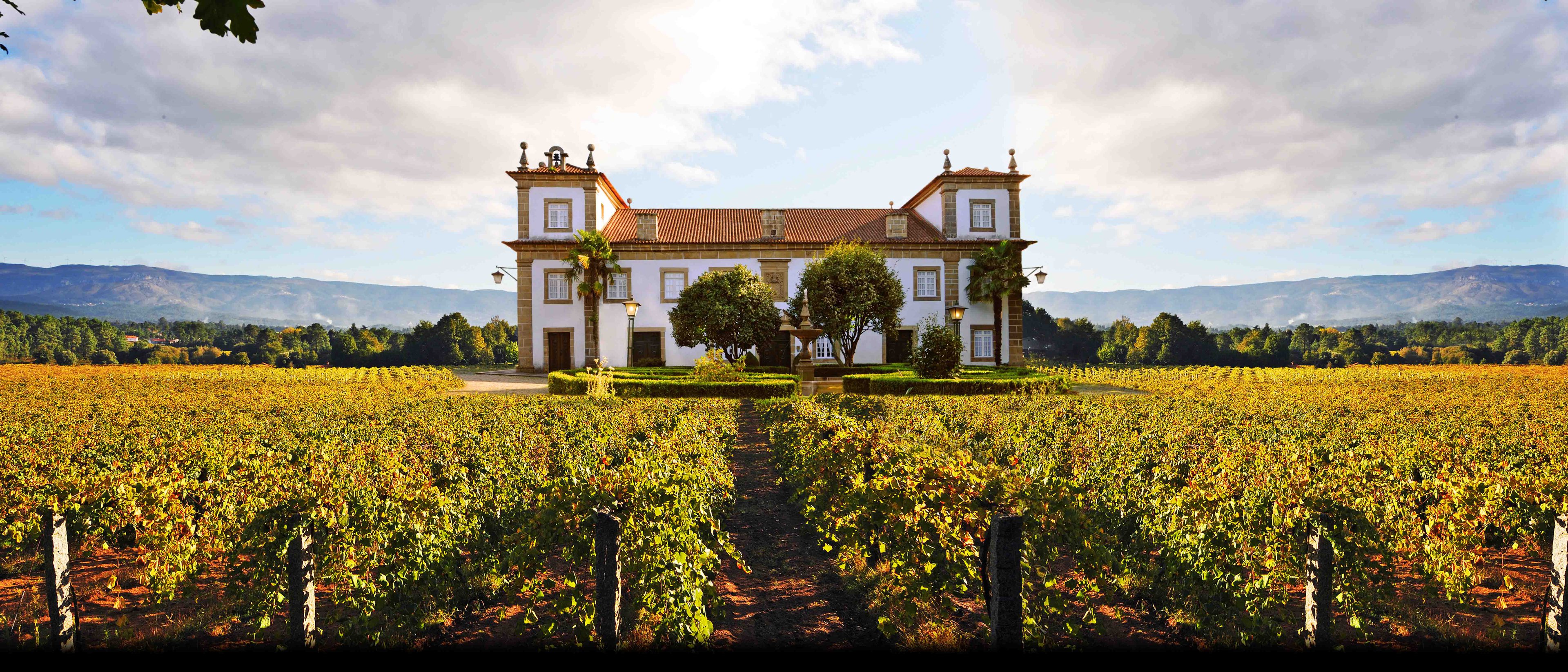 Vinho Verde - winesofportugal.com